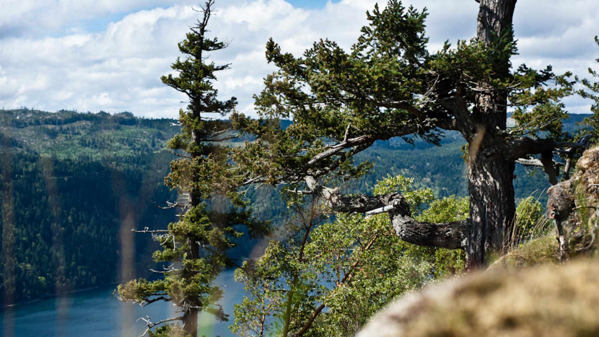 District of Highlands, BC | CiviKit